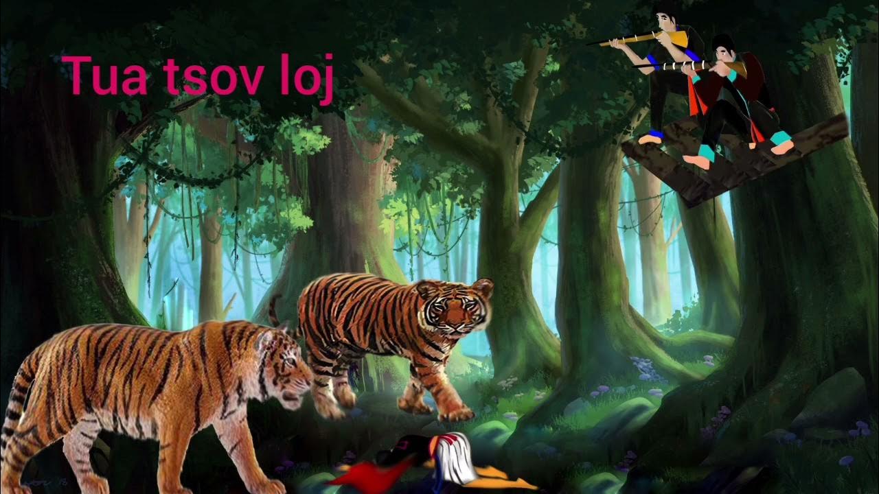 2 kwv tij mu yos hav zoov tua npua teb ntsib tsov tua tsov txaus ntshai hv li - YouTube