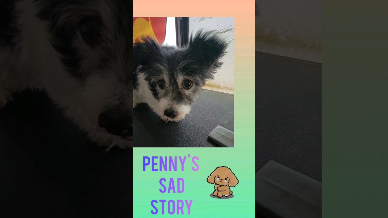 Penny's Sad Story - YouTube