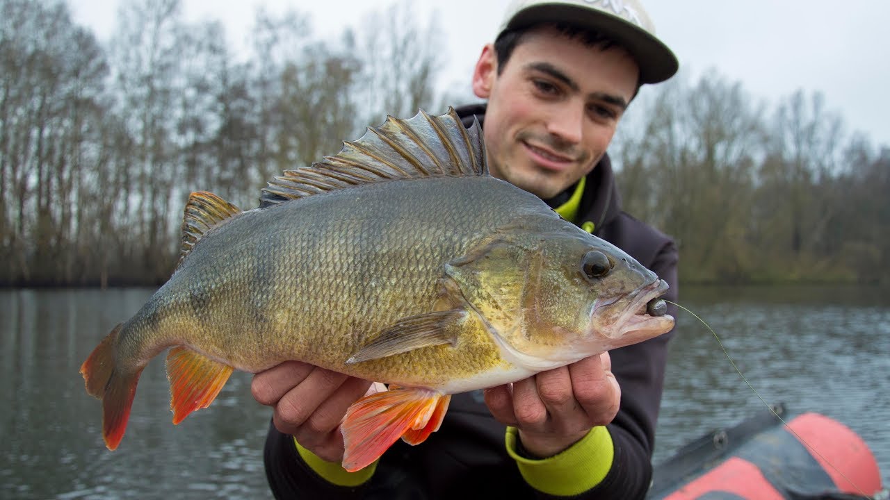 We fished a UNIQUE, untouched water and caught big fish! - YouTube