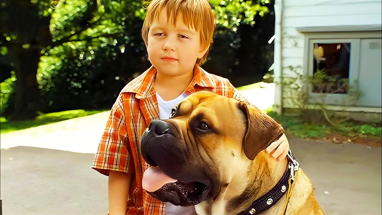A Boy Rescues a Fierce, Smart Dog from a Dangerous Gang and Discovers ...