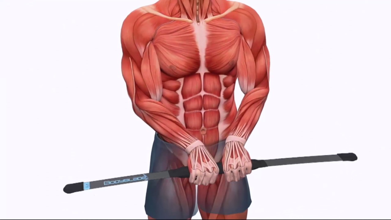 Bodyblade Fit & Flow Kit with 2 DVDs, Wall Chart & Carrying Bag on QVC ...