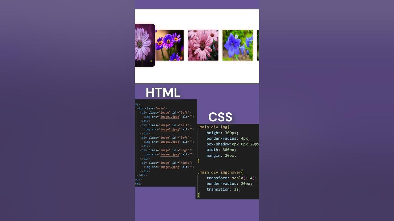 Hover In Css Mouse Hover In Css Html Css Coding Htmlcss
