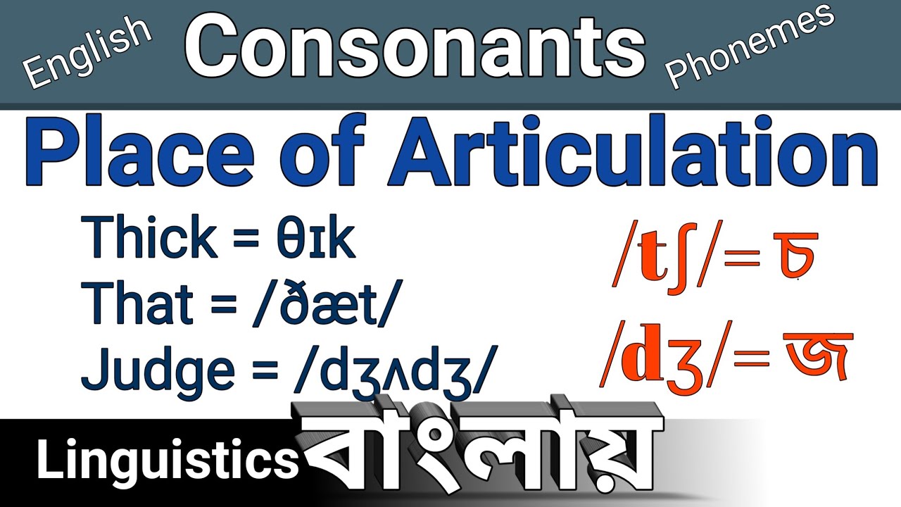 Place of articulation of English Consonant Phonemes | বাংলায় - YouTube