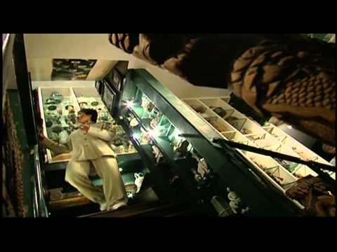 Städtereise Hong Kong mit Jackie Chan Teil 2 HD