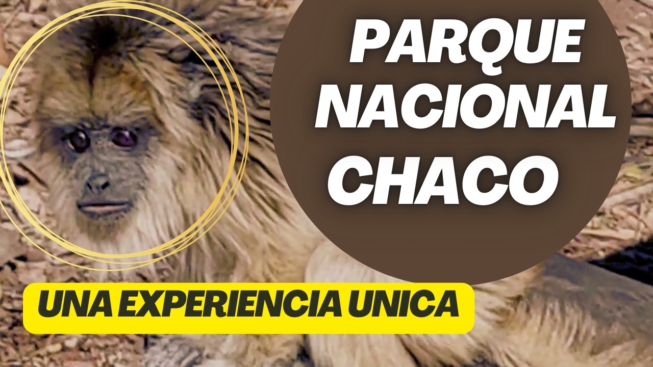 🌳 ASI ES el PARQUE NACIONAL CHACO🌿 RUTA Y SENDEROS - YouTube