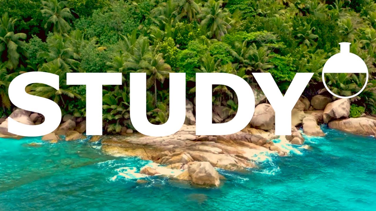 Relaxing Summer Music & Nature Visuals | 4 Hours of Ambient Music for ...