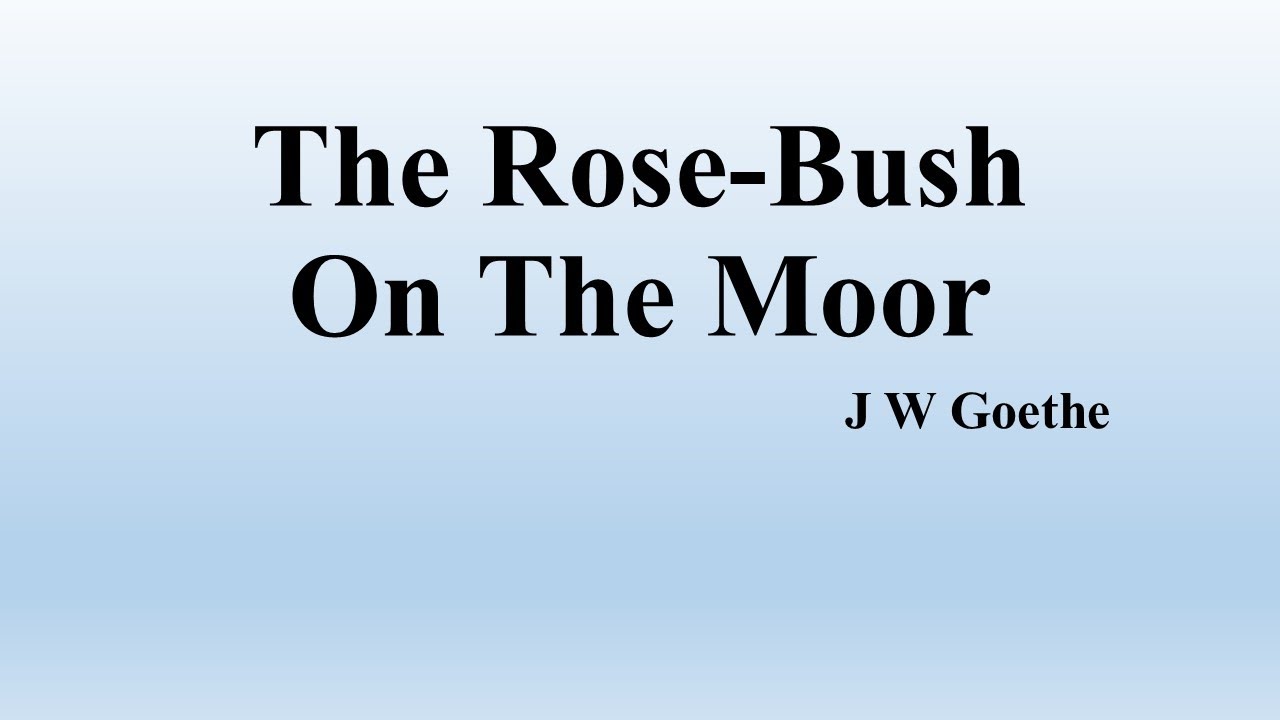 J W Goethe, "The Rose-Bush on the Moor" (Summary/ Notes) - YouTube