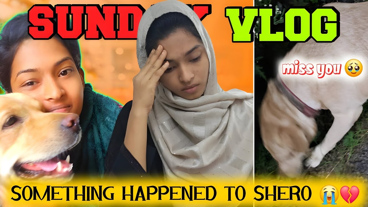 Sheroo ku udambu seri ila 🥺 || Watch till end ‼️ #imanufa - YouTube