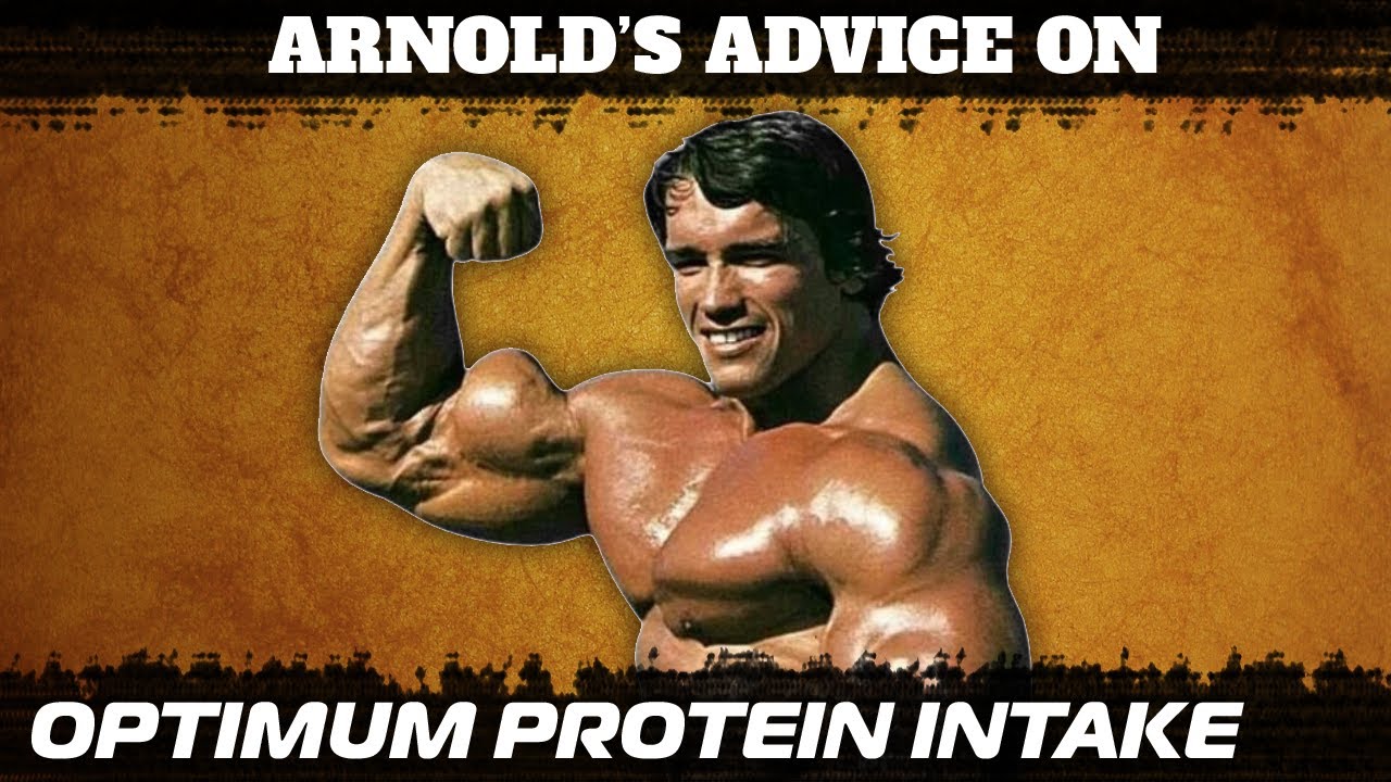 Arnold's advice on optimum protein intake - 20g Or 100g - YouTube