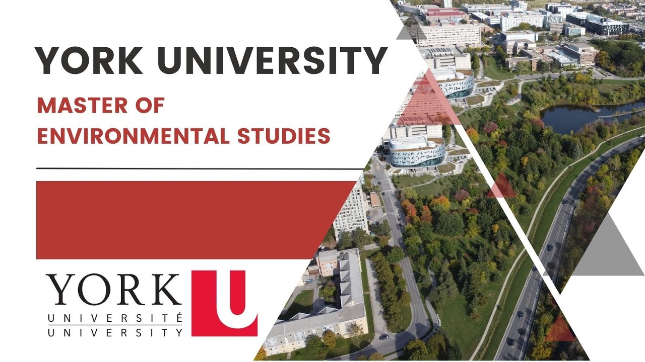 York University - Master of Environmental Studies - YouTube