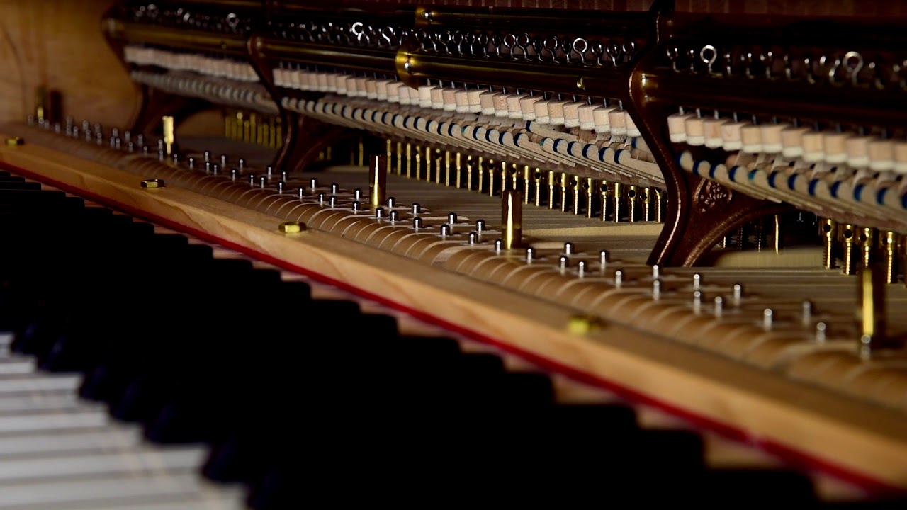 J.S. Bach, Invention No. 4 in D Minor, BWV 775, Illya Filshtinskiy ...