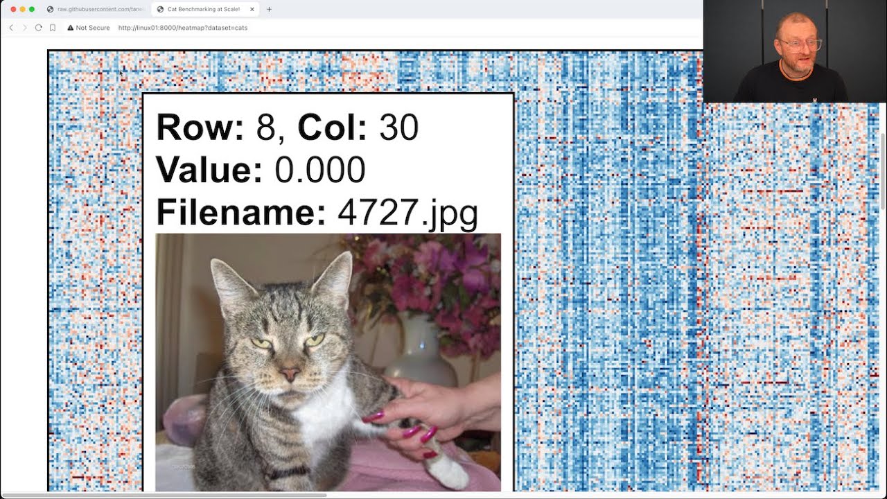 Installing CatBench Vector Visualizer App and Technical Details - YouTube