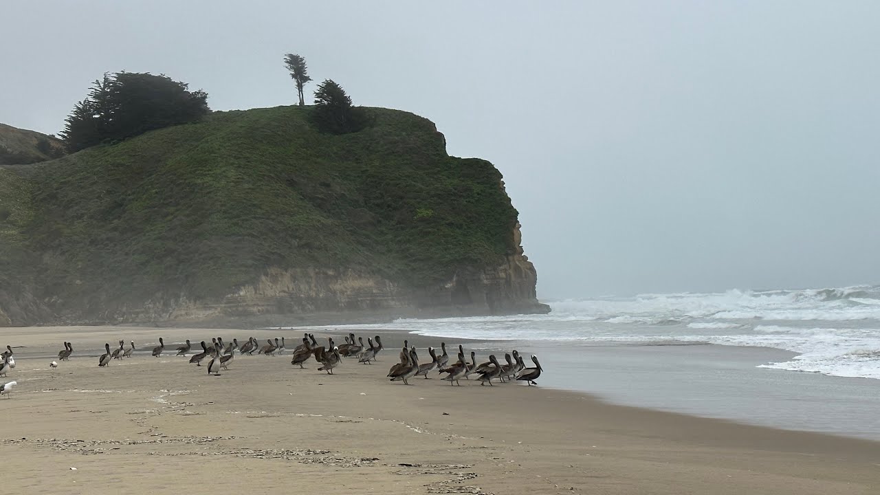 Hiking Trail - San Mateo Coast - Pomponio State Beach | 5/16/2023 - YouTube