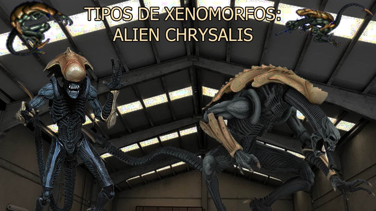 Tipos de Xenomorfos (Aliens) - Capítulo 30: Alien Chrysalis/Crisálida ...