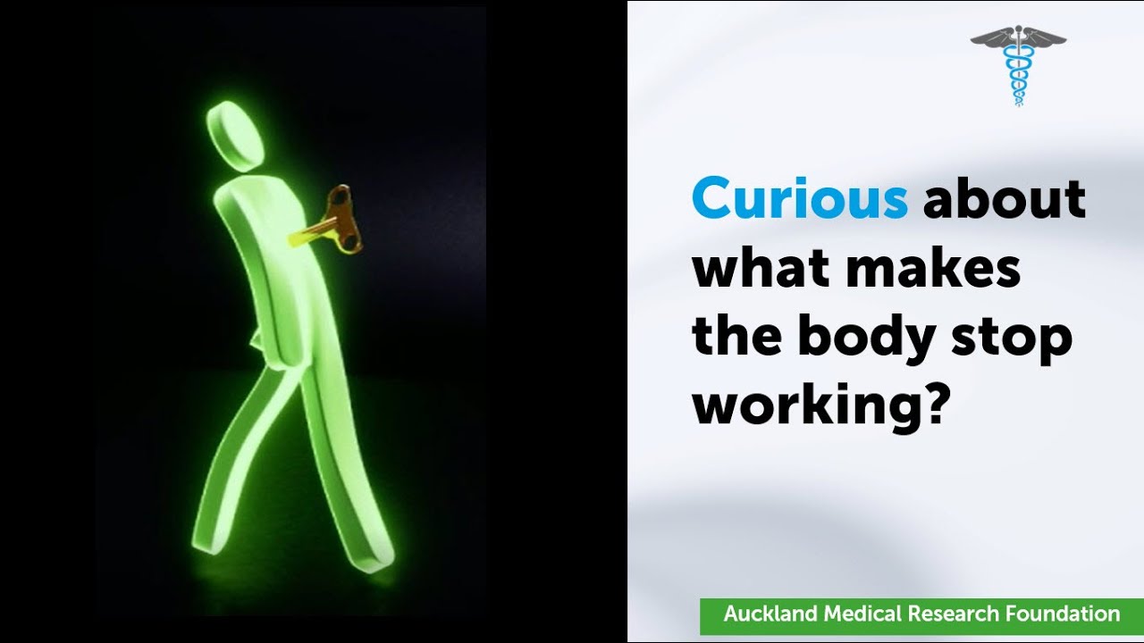 Curious About What Makes The Body Stop Working? | AMRF - YouTube