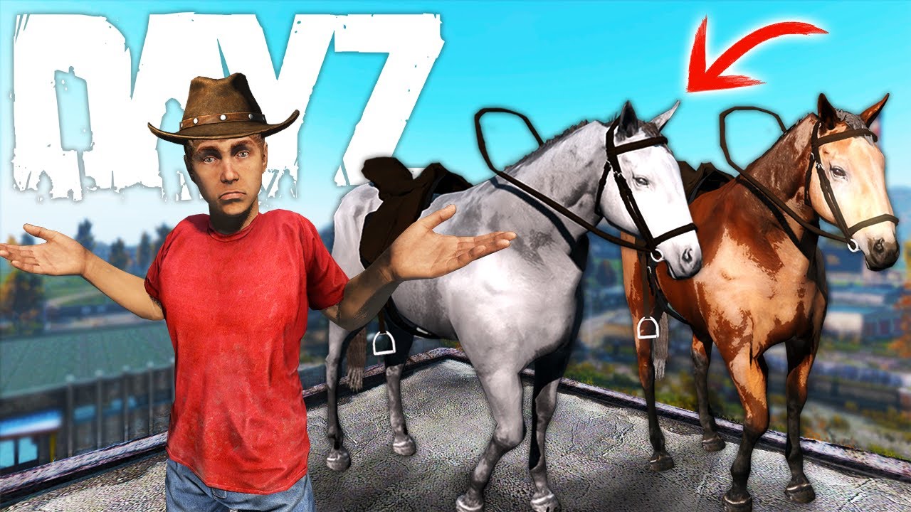 HORSING AROUND! These NEW HORSES are HILARIOUS! (DayZ) - YouTube