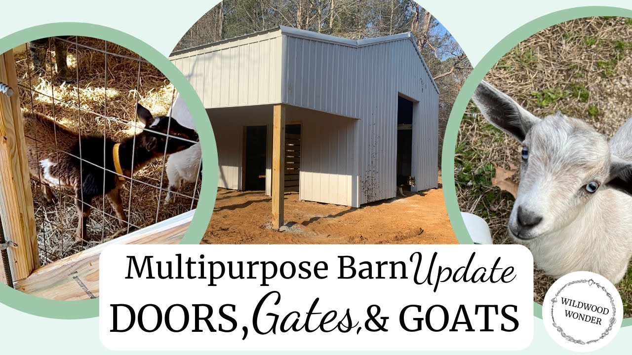 Multipurpose Barn Update: Doors, Gates, & Goats! - YouTube