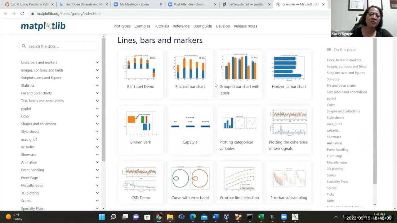 CIS30E Lab 4: Using Pandas and Numpy in Python for Data Structures - YouTube