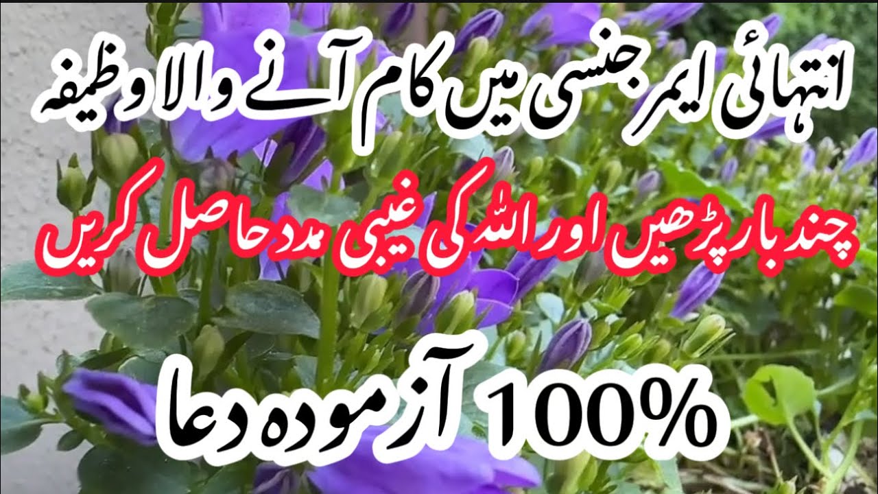Best Wazifa For All Your Problems|| Dua for solve All Problems ...