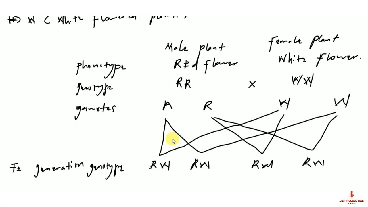 Genetics. Complete dominance and Incomplete dominance (Co-dominance ...