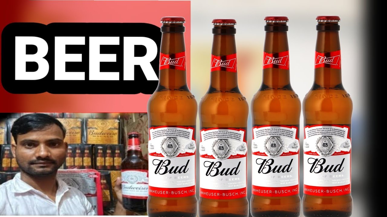 Budweiser premium beer review in West bengal | 2022 - YouTube