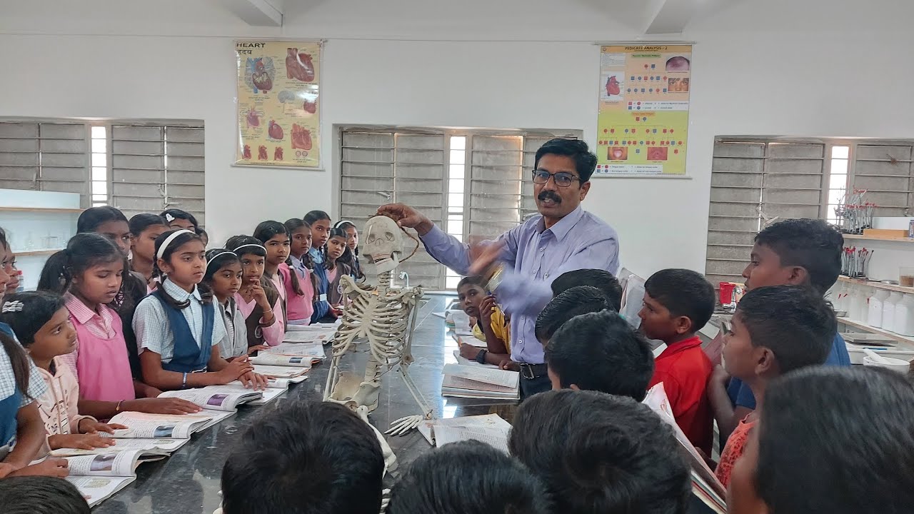 HUMAN SKELETON | JOINTS | ACTIVITY BASED EDUCATION | NCERT|CBSE | CLASS ...