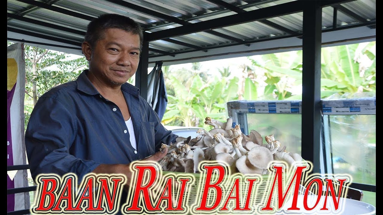Baan Rai Bai Mon Nakhon Nayok (organic Farm) - YouTube