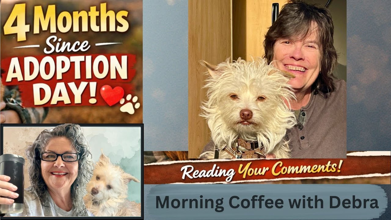 4 Months with Finn 🐶 ️Morning Coffee with Debra ☕️ I Read Your Comments ...