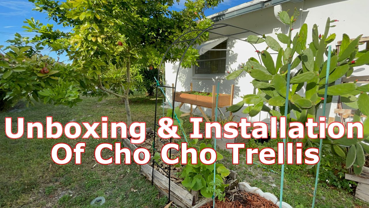 Unboxing Arch Garden Trellis 2023| For Cho Cho Vines | South Florida ...