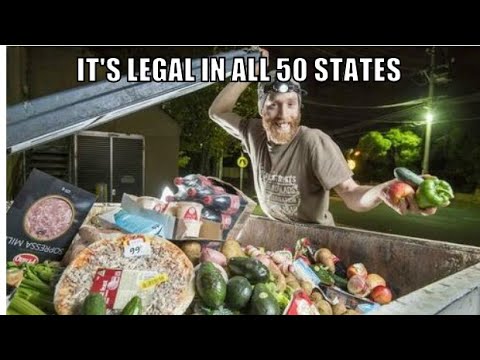 'Dumpster Dining' Saves You Money On Your Grocery Bill - YouTube