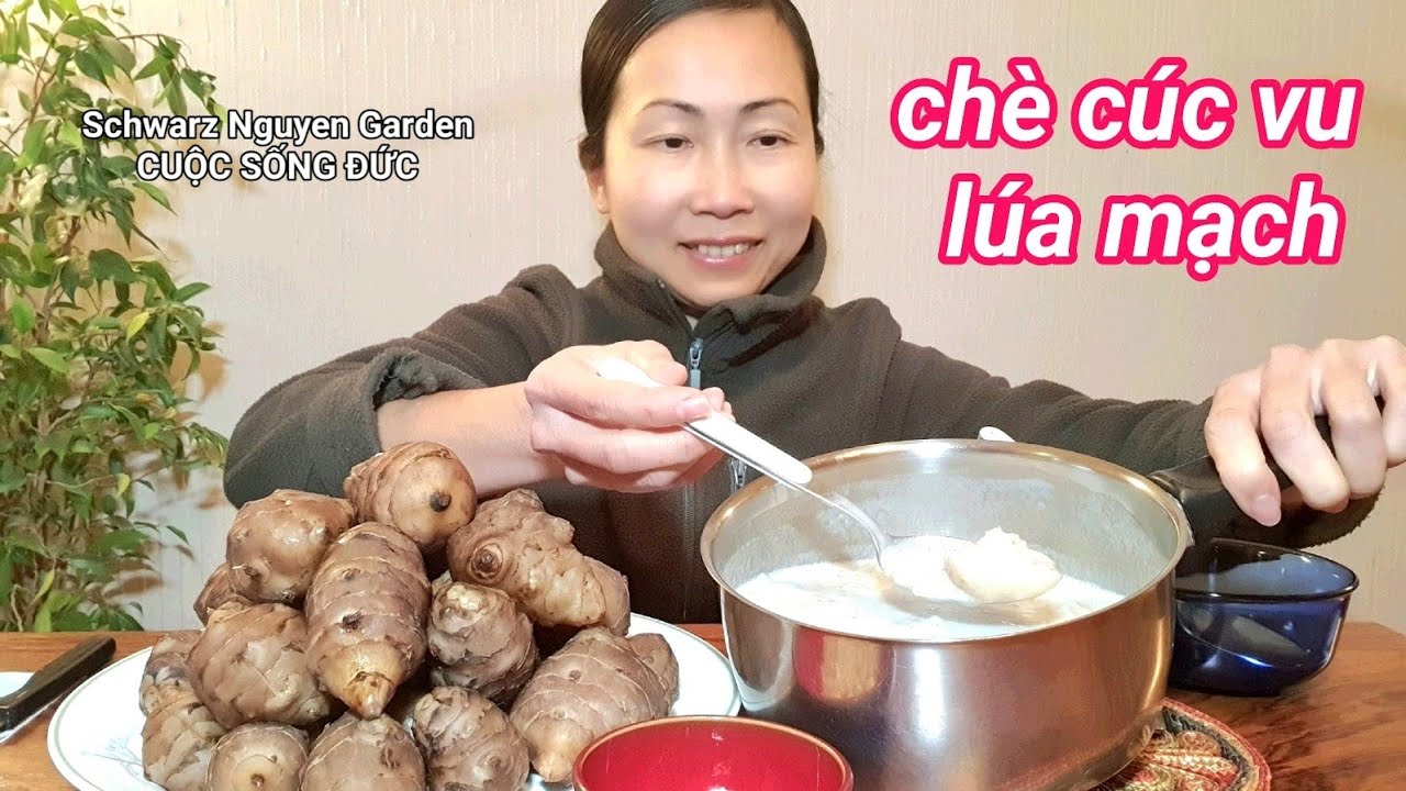 Ăn củ cúc vu luộc và lần đầu nấu ăn món chè cúc vu lúa mạch, Topinambur ...