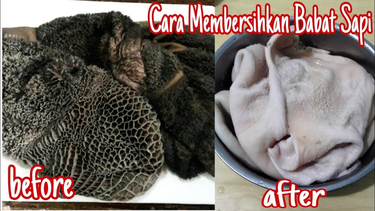 CARA MEMBERSIHKAN BABAT SAPI BIAR PUTIH ‼️ lebih cepat dan simpel # ...