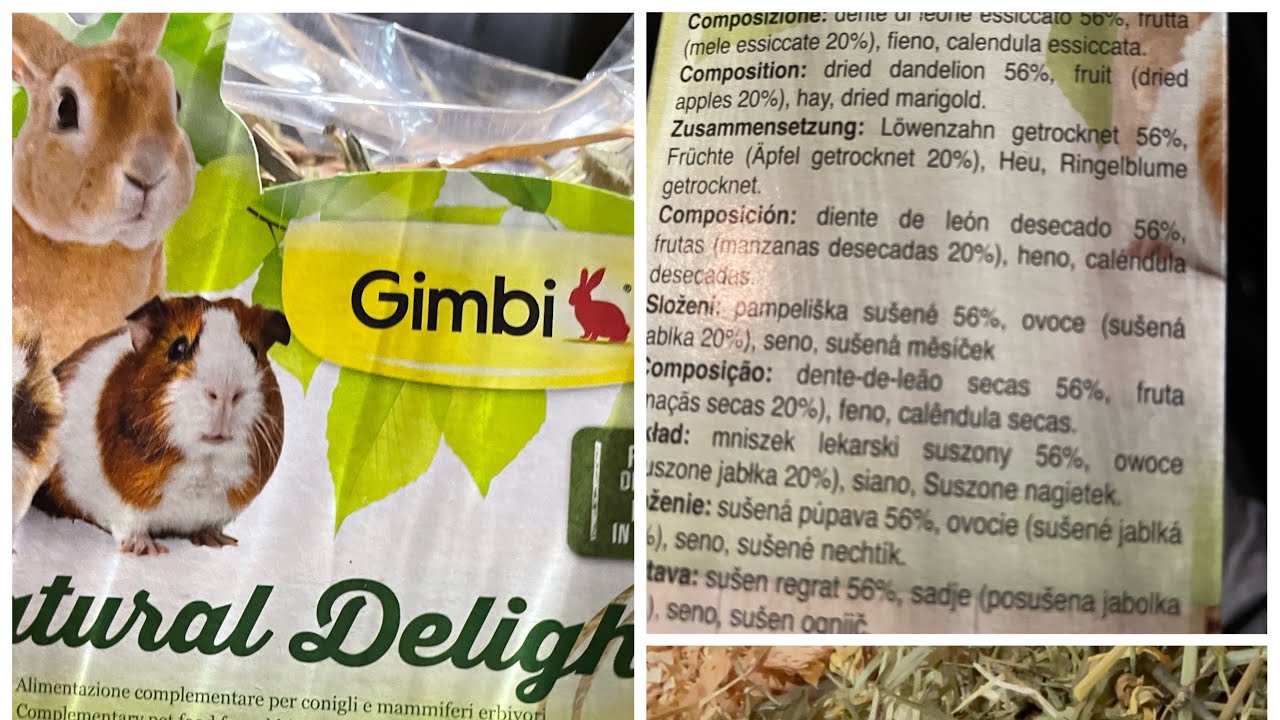 Gimbi Natural Delight: ottimo per limare i denti del criceto - YouTube