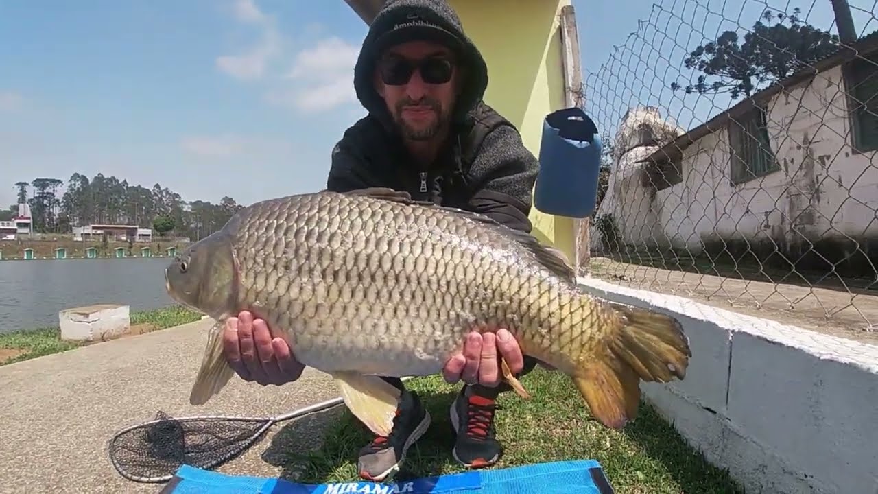 PESCARIA REALIZADA NO PESQUEIRO CAT FISH DE ULTRALIGHT SET/22 - YouTube