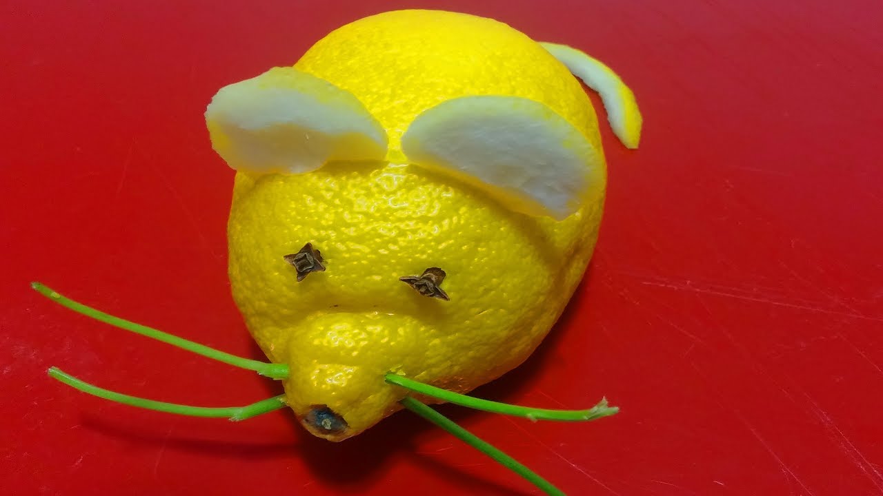 HOW TO MAKE MOUSE WITH LEMON ? (Funny Food For Kids, Fruit Carving ...