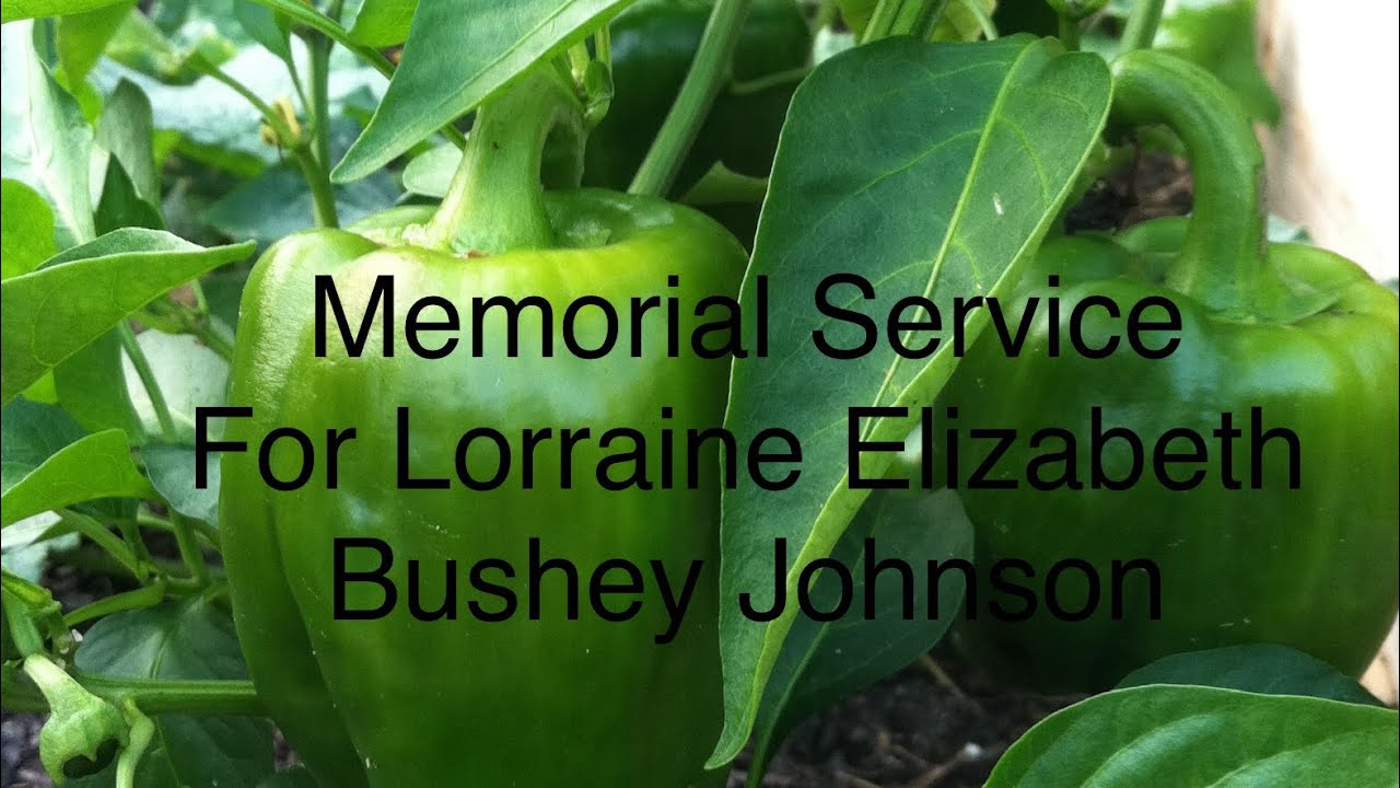 Memorial Service For Lorraine Elizabeth Bushey Johnson…. June 12, 2021 ...
