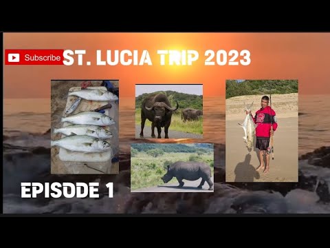 ST. LUCIA TRIP 2023,BIG GARRICK AND LOTS OF SHAD #SALTWATERFISHING # ...