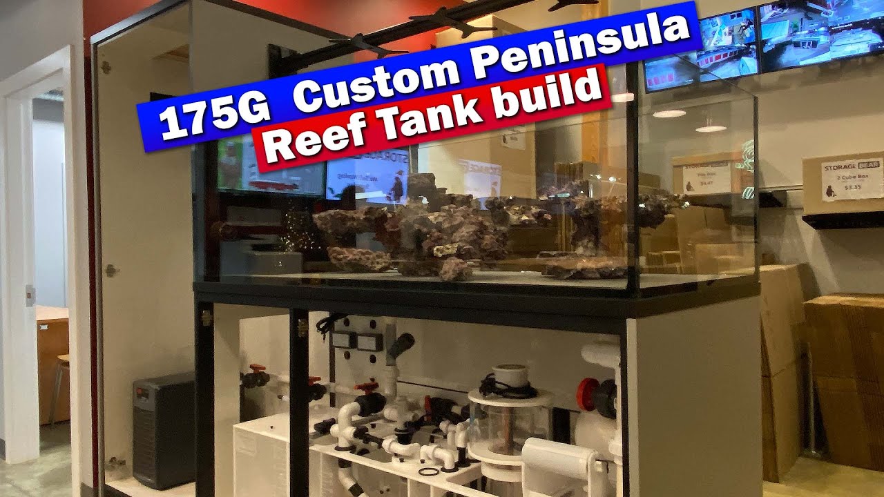 Curtis's 175G Peninsula Reef Tank - Custom Saltwater Aquarium Tour ...