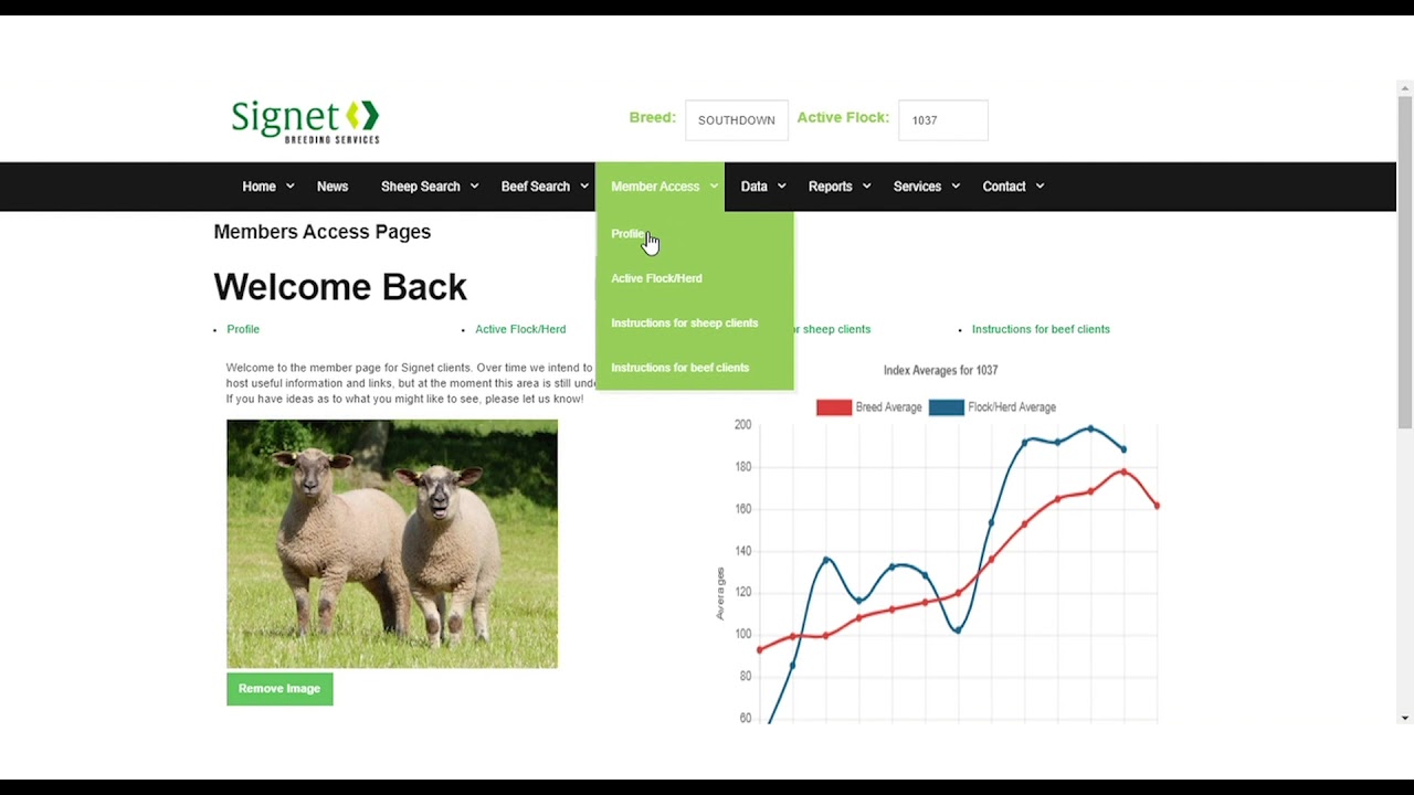 Signet tutorial video - how to log on - YouTube