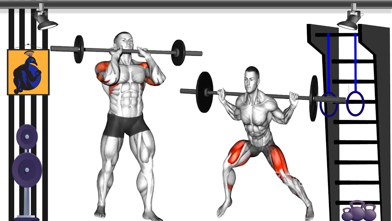 The Best 15 Barbell Exercises For Mass | The Best Barbell Workout - YouTube