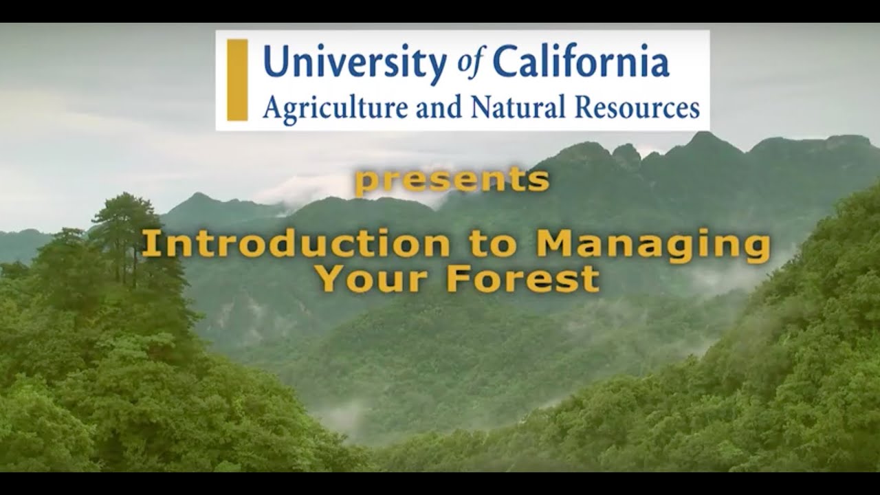 Starting Your Forest Mgmt Plan: Introduction to Forest Management - YouTube
