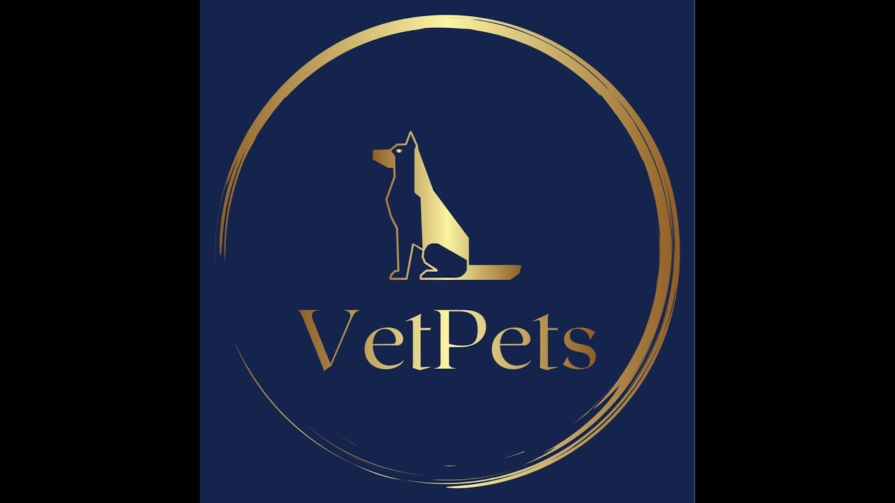 April Featured Charity, VetPets with Omar Brooks - YouTube