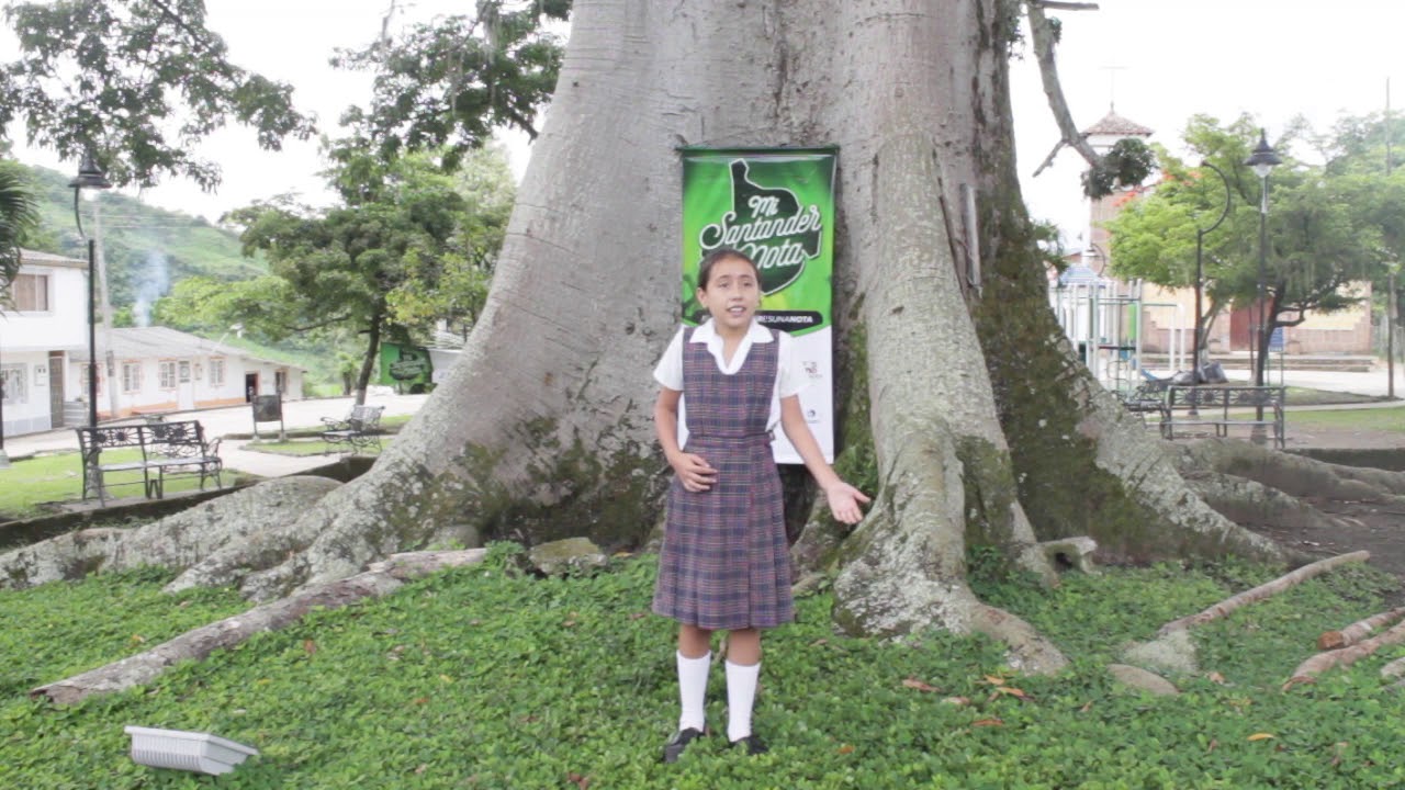 TS - SAN BENITO - CANTO - SHARON SANCHEZ - YouTube