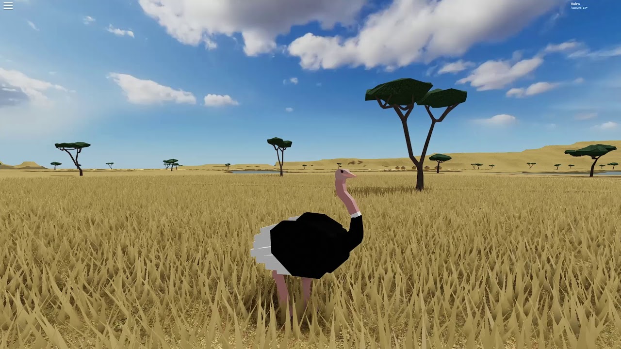 Playbox Safari Trailer 2020 - YouTube