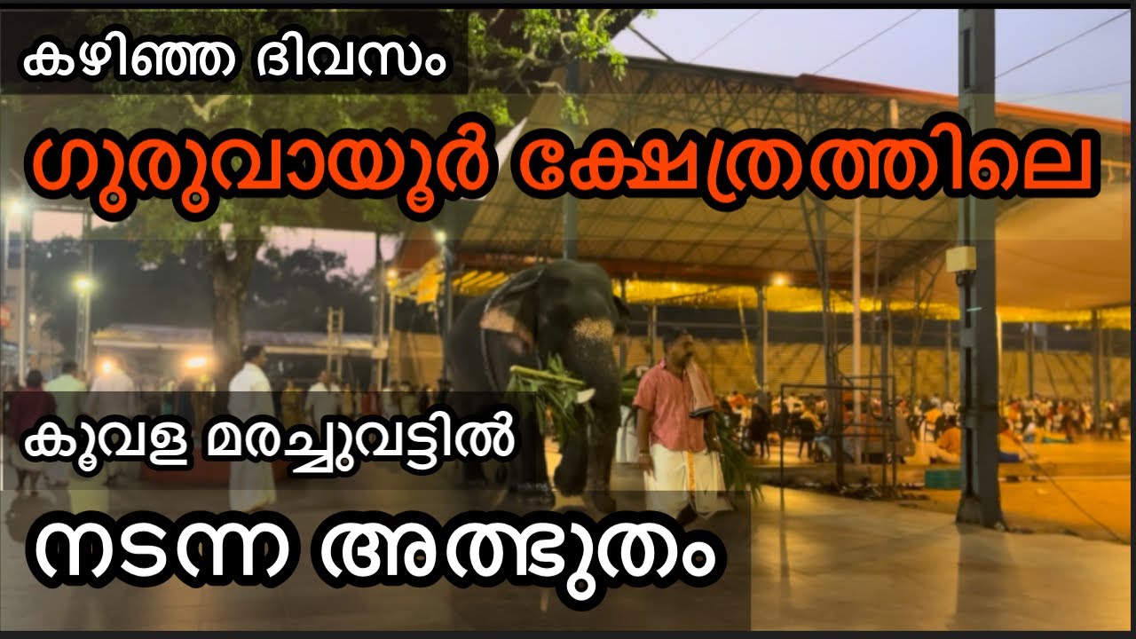 ഗുരുവായൂരിൽ കണ്ണന്റെ അത്ഭുതങ്ങൾ കൂടി വരുന്നുവോ ? | ഗുരുവായൂർ ക്ഷേത്രം ...