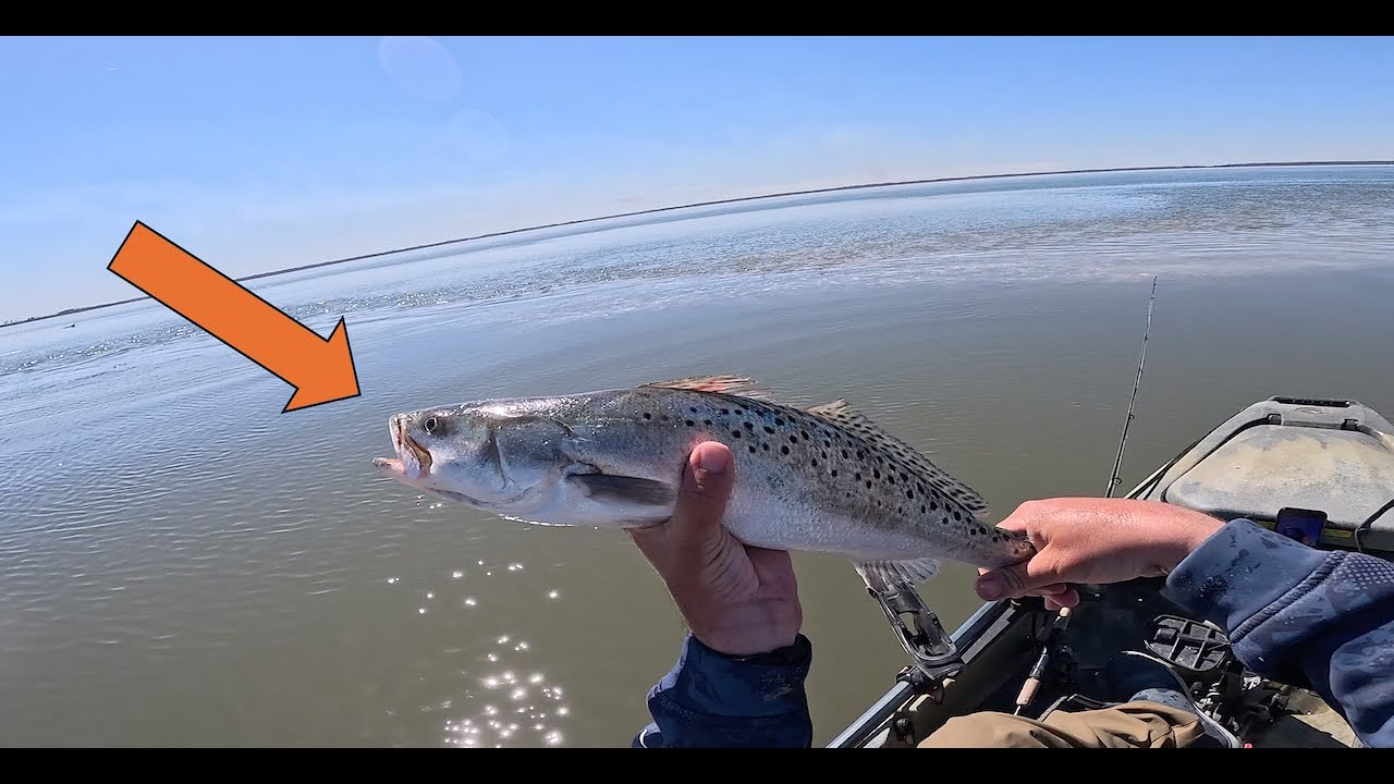 BIG Speckled Trout plus Bonus Redfish! Catch/Tag/Release Kayak Fishing ...