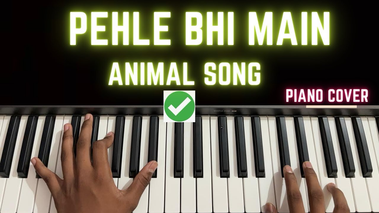 Pehle bhi Main song from Animal cover on Keyboard Yamaha PSR i500 by ...