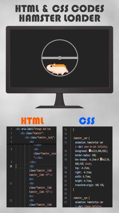 Hamster animation | HTML & CSS CODES #html #css #programming #computer #coding #htmlcss # ...