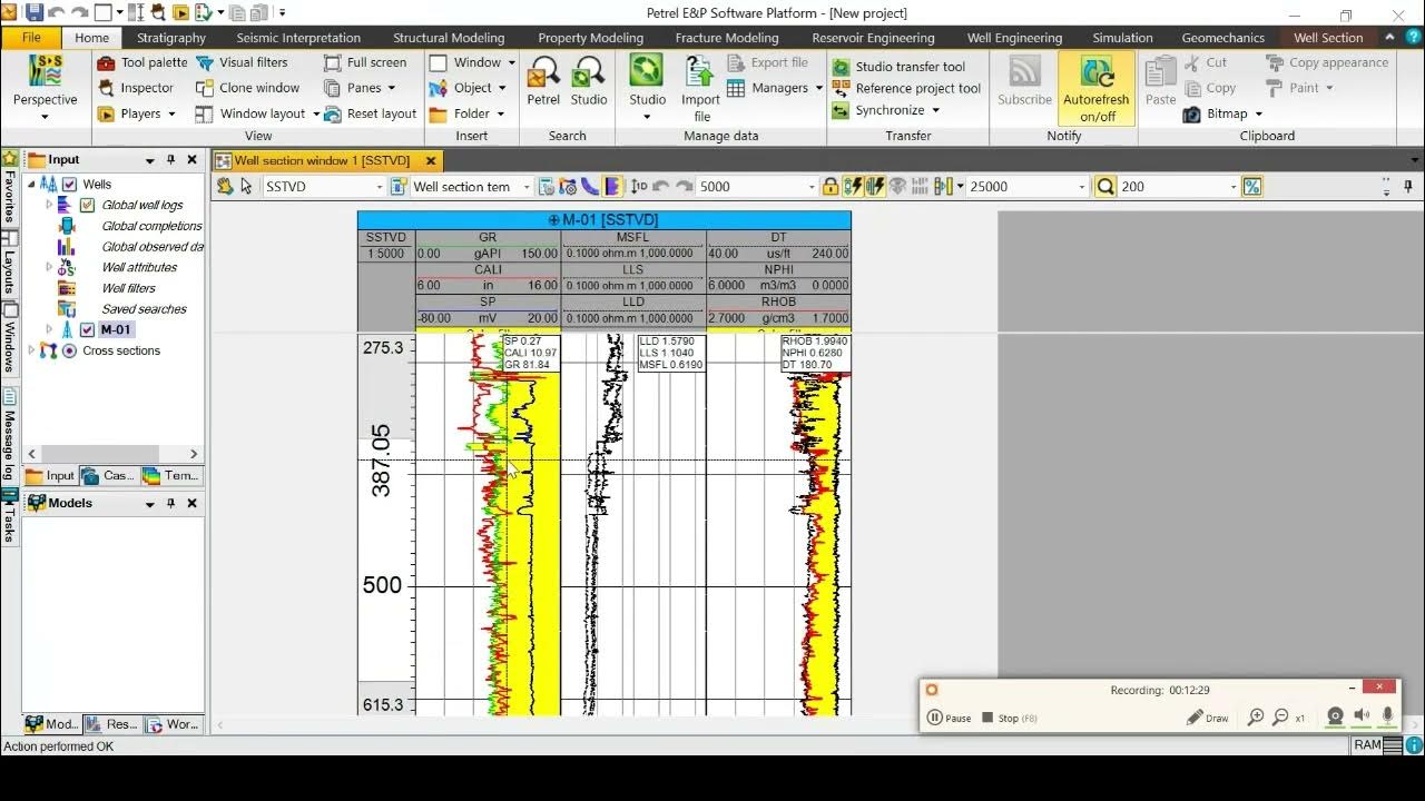 Tutorial Petrel Membuat LOG - YouTube