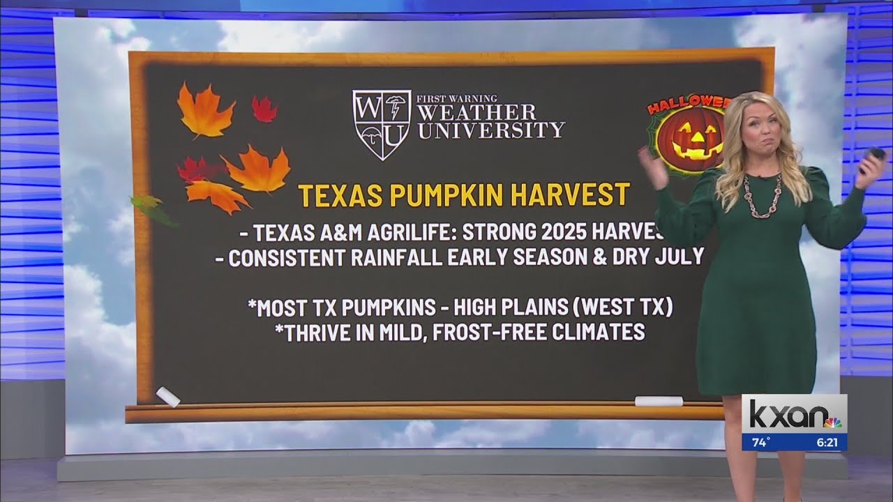 Facts about the Texas pumpkin harvest - YouTube